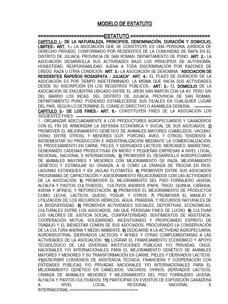 Modelo de Estatuto | PDF