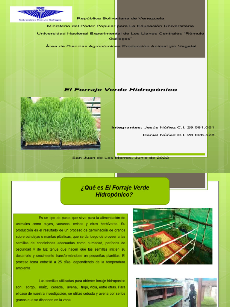 El Forraje Verde Hidropónico | PDF