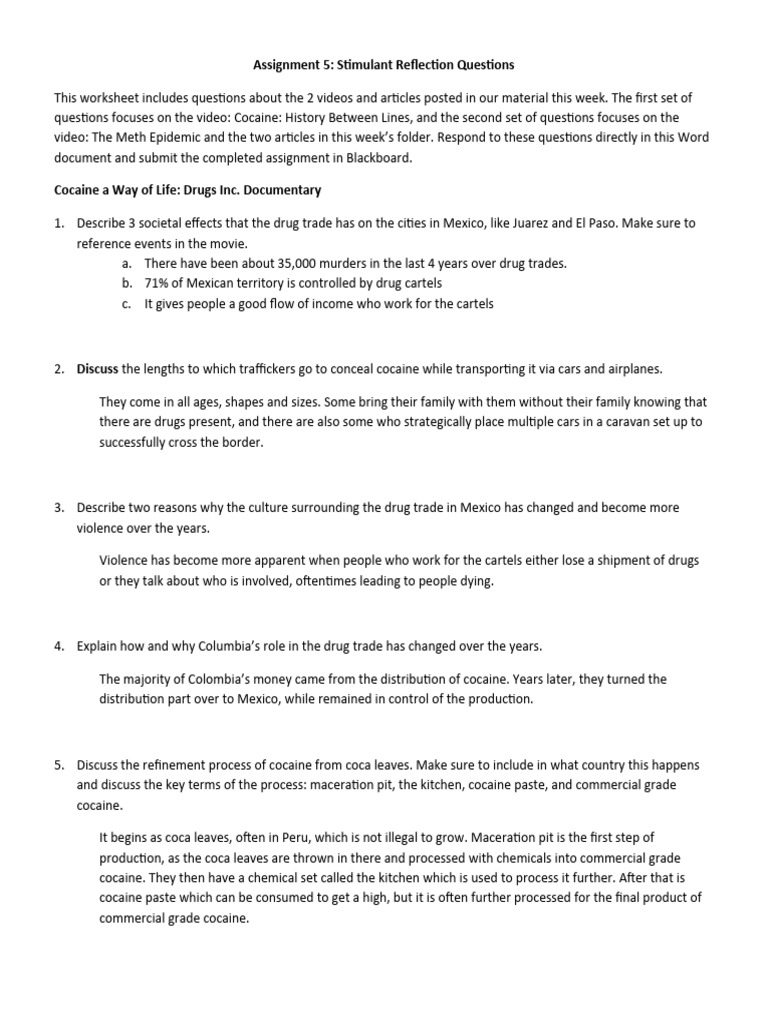 Assignment 5. Stimulant Reflection Questions | PDF