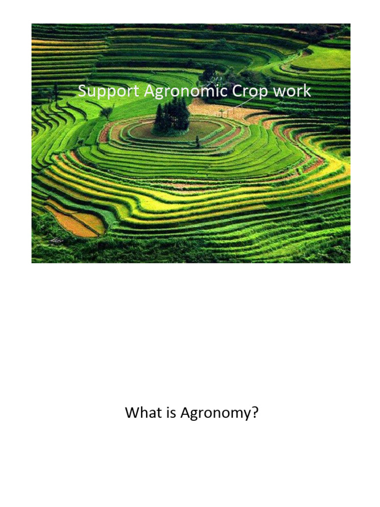 3 - Agronomy | PDF