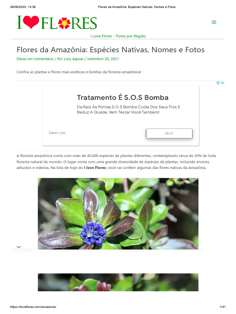 Flores Da Amazônia - Espécies Nativas, Nomes e Fotos | PDF | Casa e Jardim