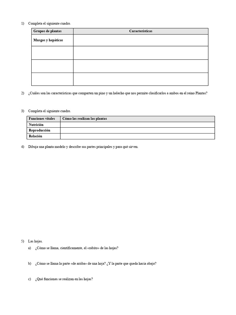 Actividades sobre el Reino Plantae | PDF | Ciencia y matemáticas