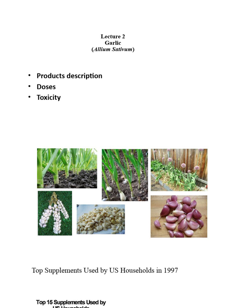 Lecture 3. Garlic-1 | PDF Lecture 3. Garlic-1 | PDF