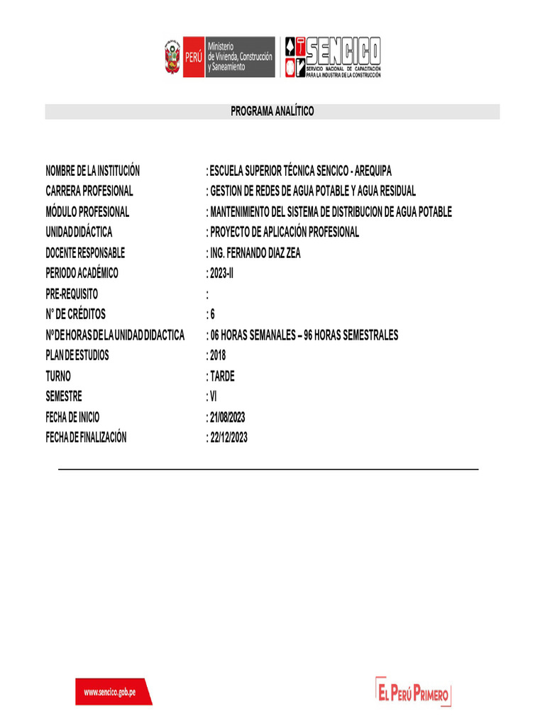 Programa Analitico - Proy. Aplicación Prof - Fernando Díaz Zea | PDF