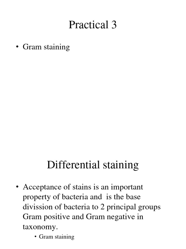 Practical 3 Gram Staining | PDF