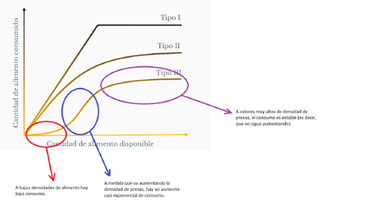 Respuesta Funcional Tipo 3 | PDF