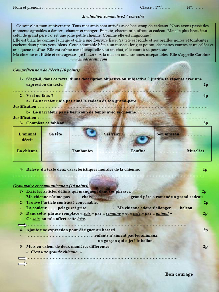 Nom Et Pr Nom.docx Filename = UTF-8''Nom Et Prénom | PDF