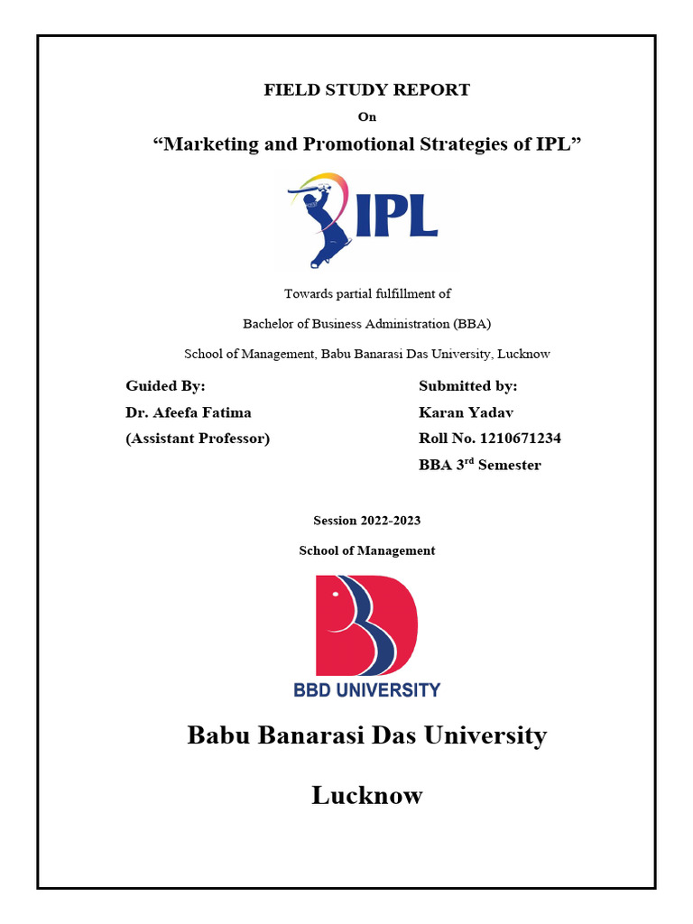 Marketing and Promotional Strategies of IPL | PDF