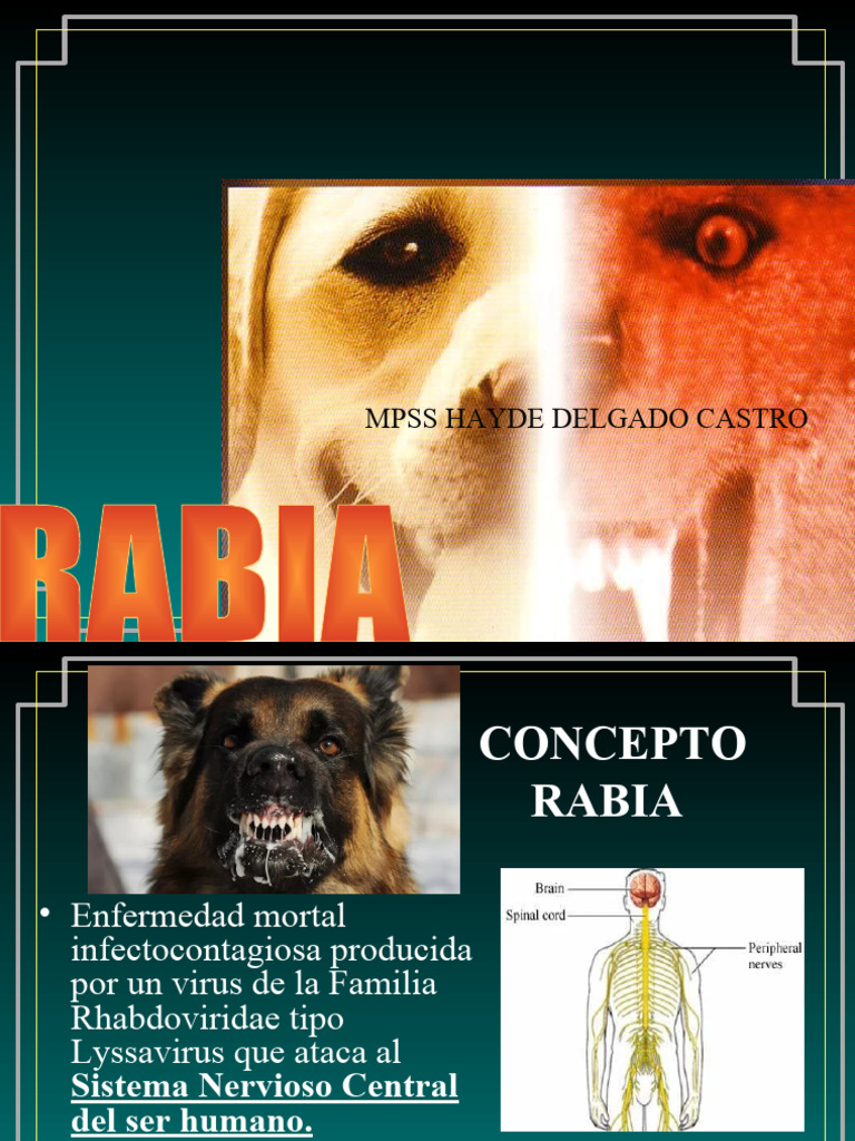 RABIA | PDF