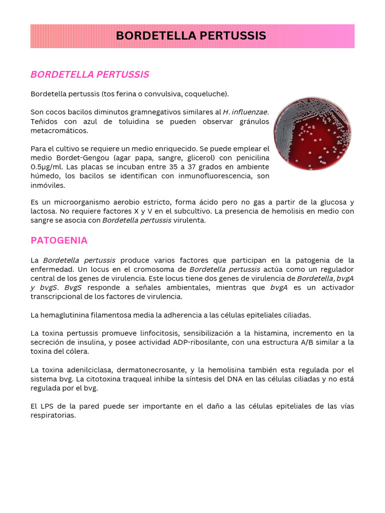 Bordetella Pertussis | PDF