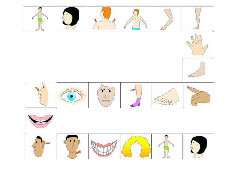 Board Game Body | PDF