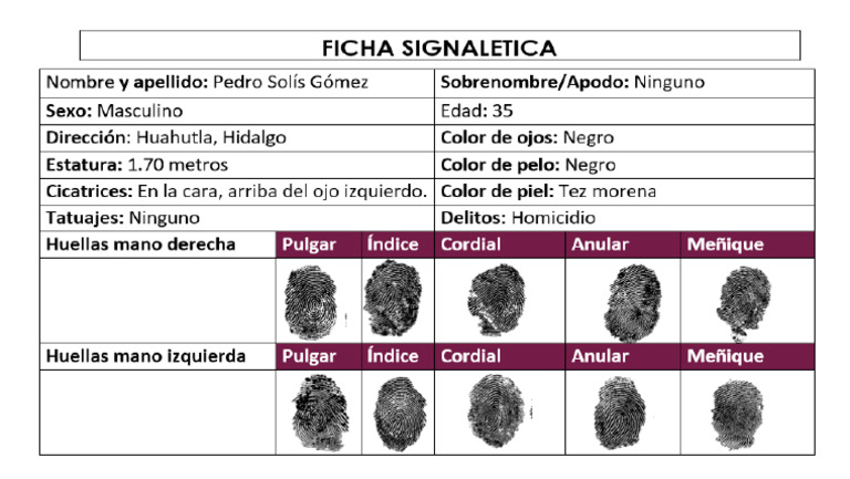 Ficha Signaletica | PDF