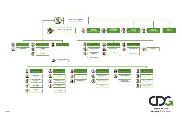 Organigramme CDG | PDF