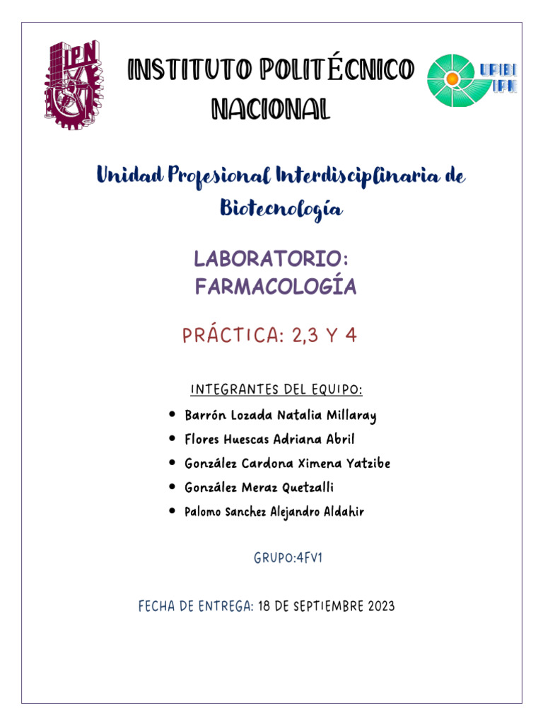 Reporte Farma 2,3 y 4 | PDF