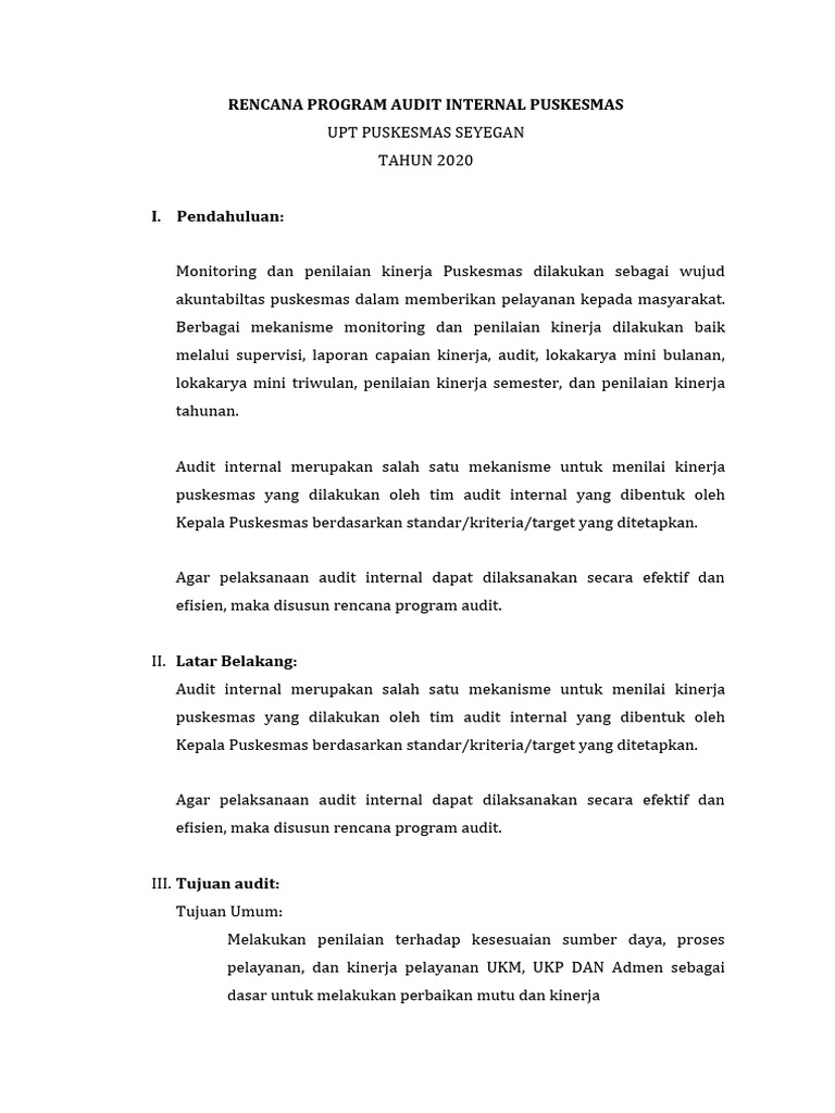 Kap Audit Internal Puskesmas Seyegan Tahunan | PDF