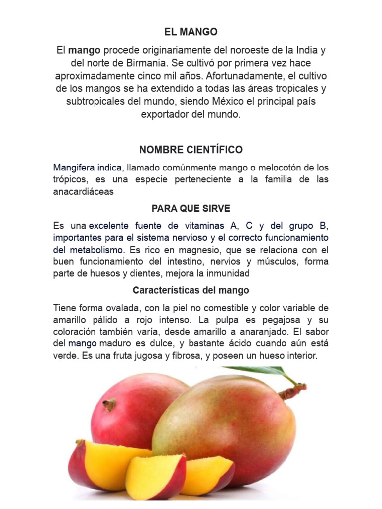 El Mango | PDF