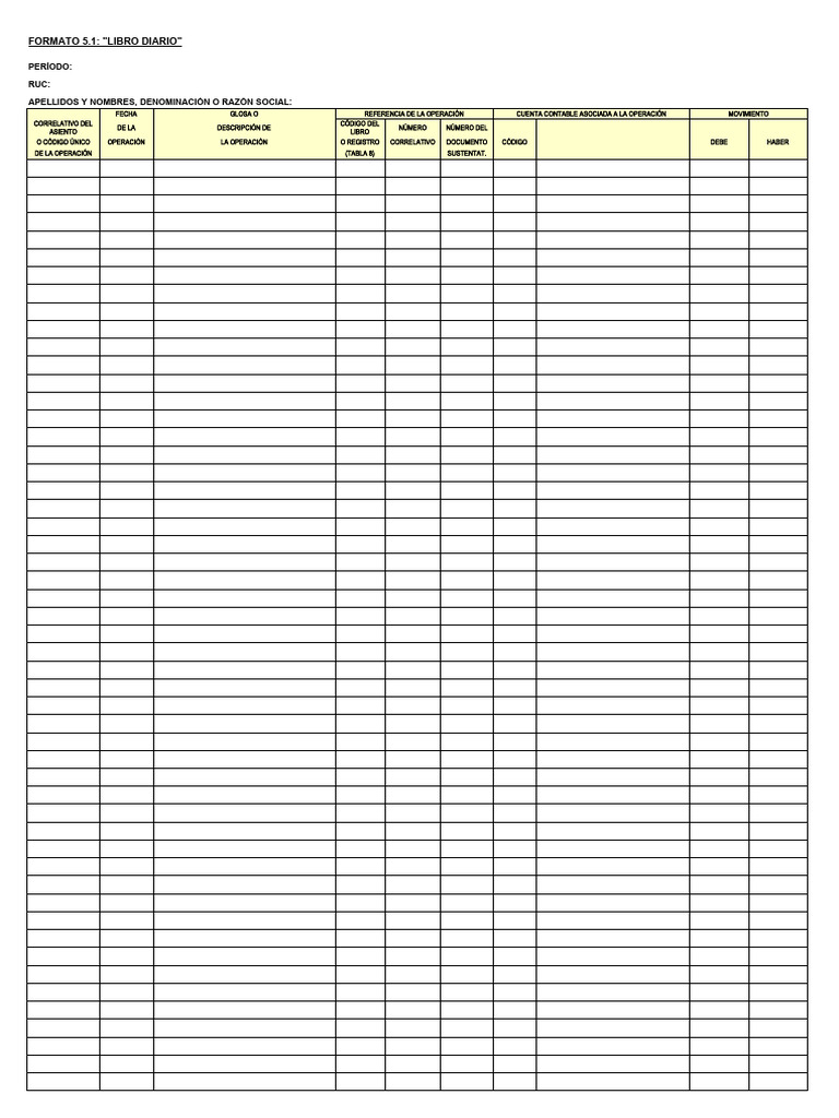 Libro Diario 5.1 - Formato | PDF