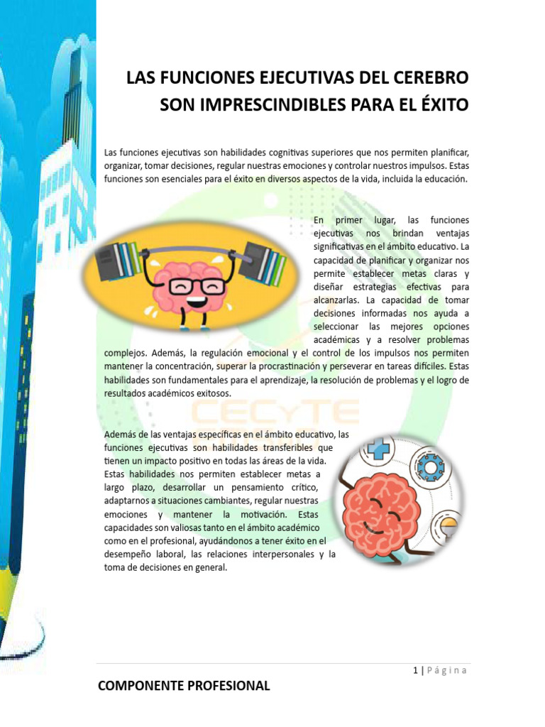 Las Funciones Ejecutivas Del Cerebro Son Imprescindibles para El Éxito ...