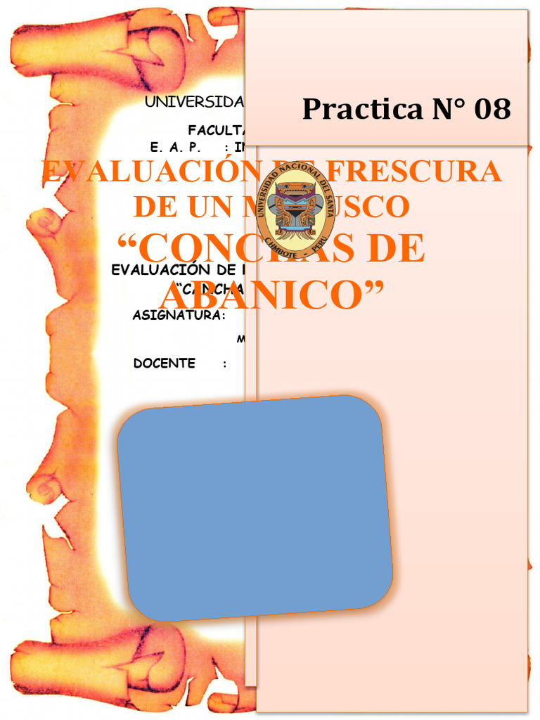 PRACTICA N - 08 Conchas de Avanico | PDF