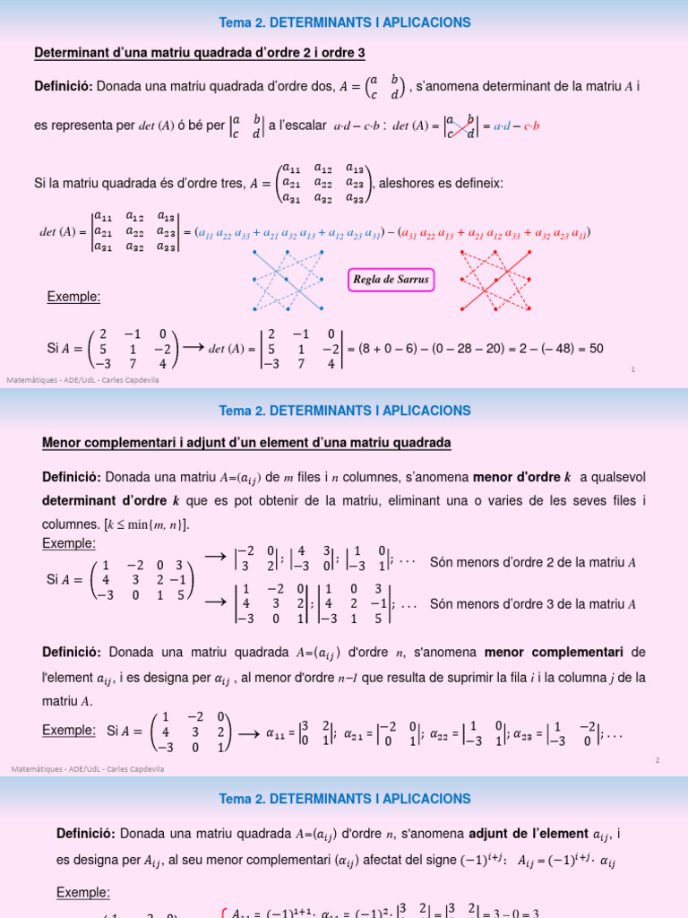 Tema 2 Determinants I Aplicacions | PDF