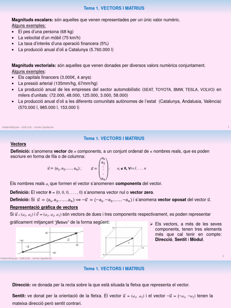 Tema 1 Vectors I Matrius | PDF
