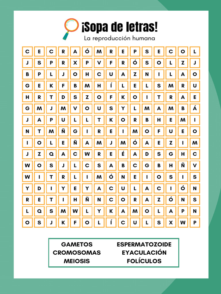 Las Asignaturas Sopa de Letras Ficha de Ejercicios Verde Ilustrativo | PDF