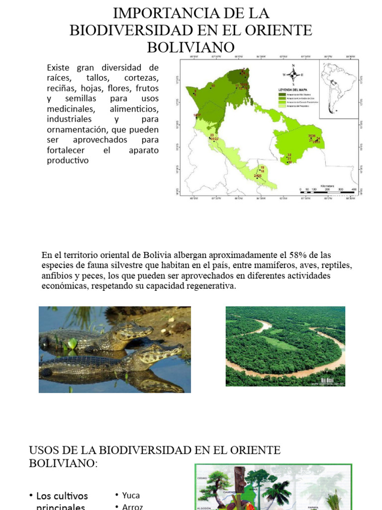 Biodiversidad y Usos en Oriente Boliviano | PDF