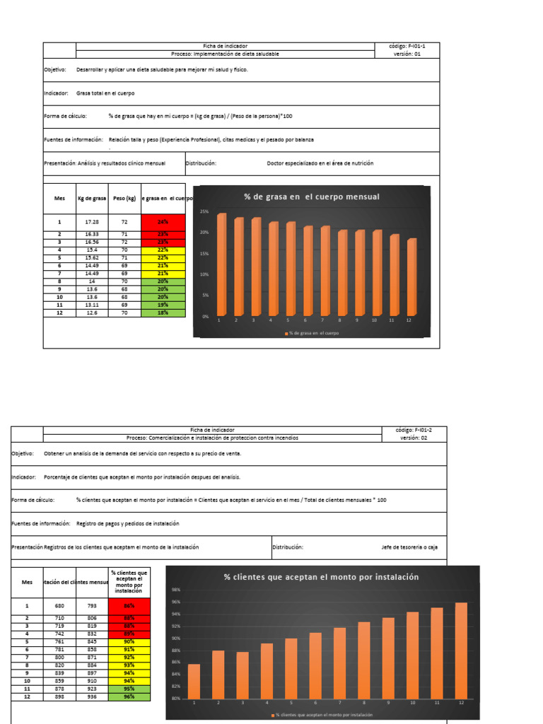 Ficha de Indicadores | PDF
