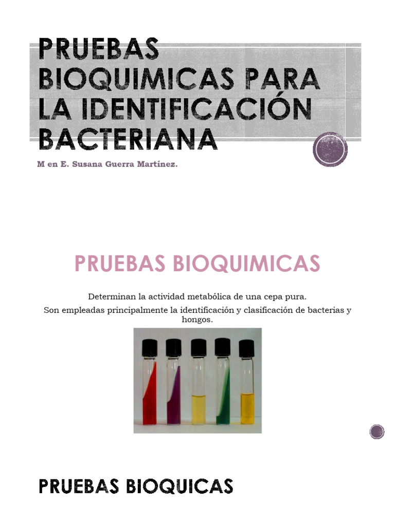 Pruebas Bioquimicas para La Identificación Bacteriana | PDF