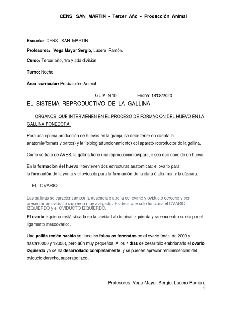 Cens San Martín 3° Año Producción Animal Guía #10 | PDF