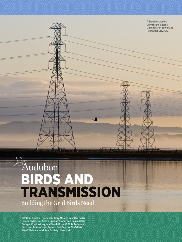 Birds And Transmission Report Pdf