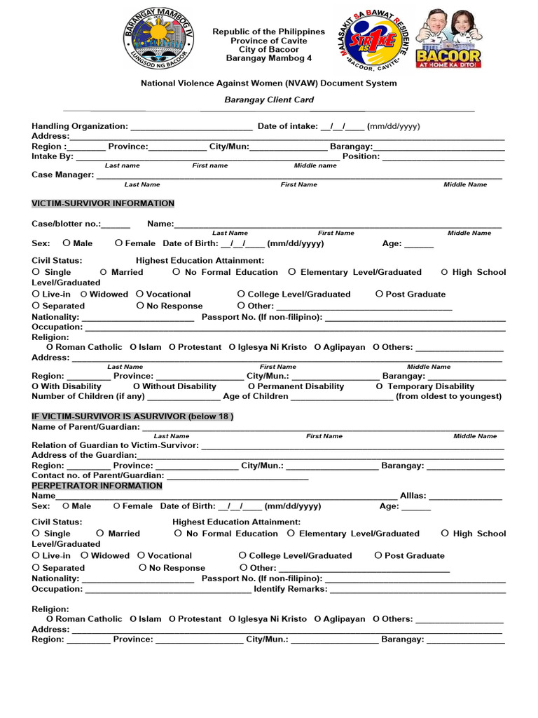 VAW Intake Form 2023 | PDF
