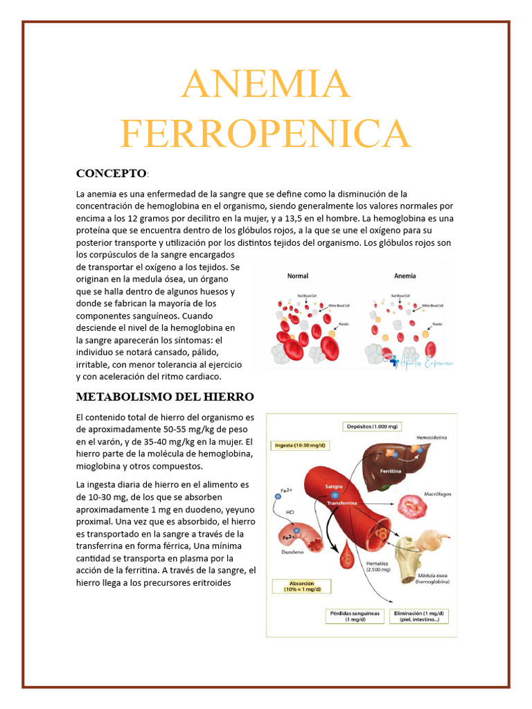 Anemia Ferropénica: Causas y Tratamiento | PDF
