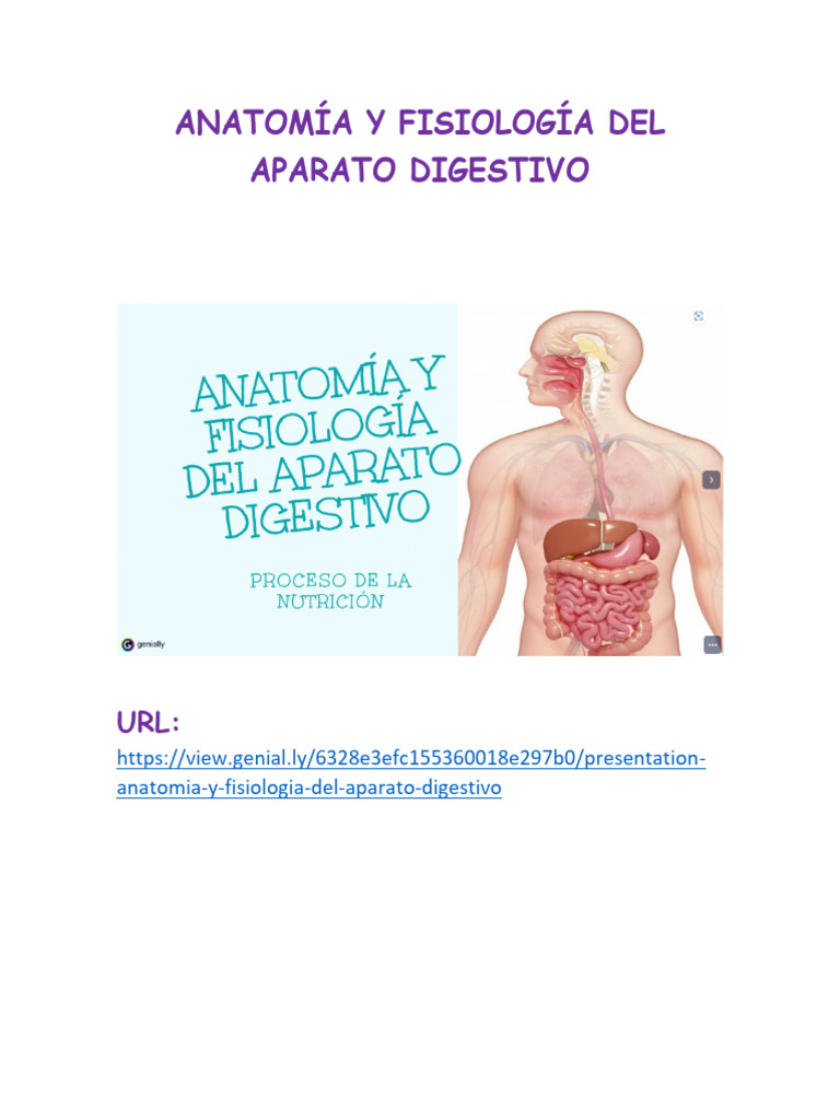 Anatomía y Fisiología Del Aparato Digestivo | PDF
