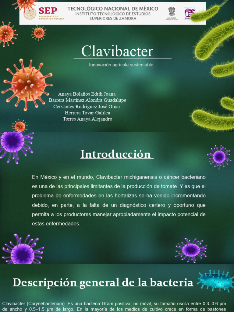 Clavibacter | PDF