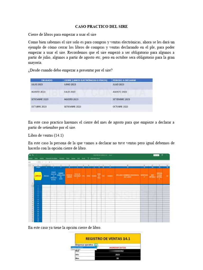 Caso Practico Del Sire | PDF