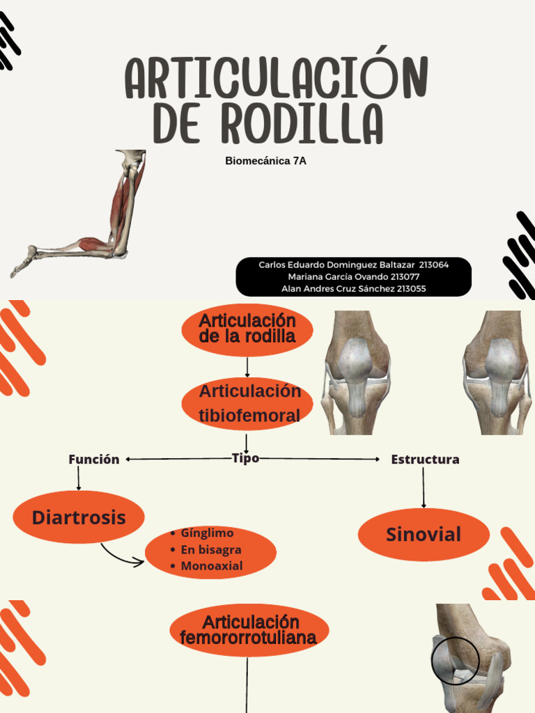 Rodilla A | PDF | Rodilla | Sistema musculoesquelético