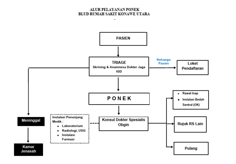 Alur Pelayanan Ponek | PDF