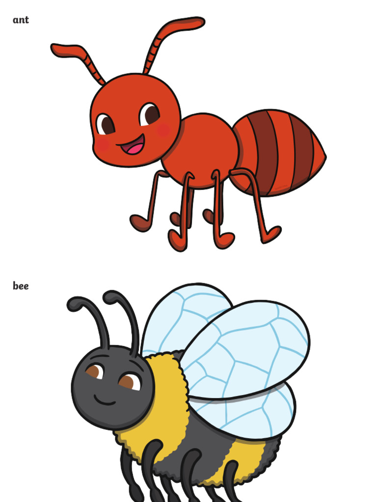 T T 7766 Detailed Minibeast A4 Cut Outs Ver 2 | PDF