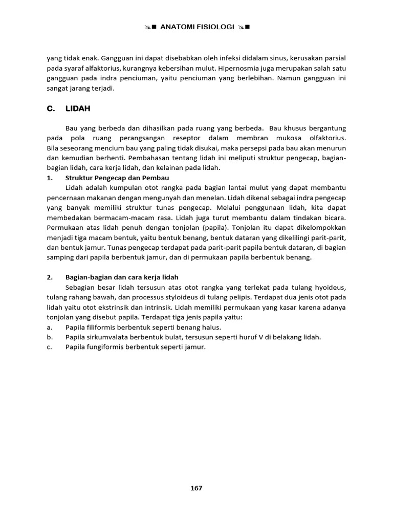 Anatomi Fisiologi - Lidah | PDF