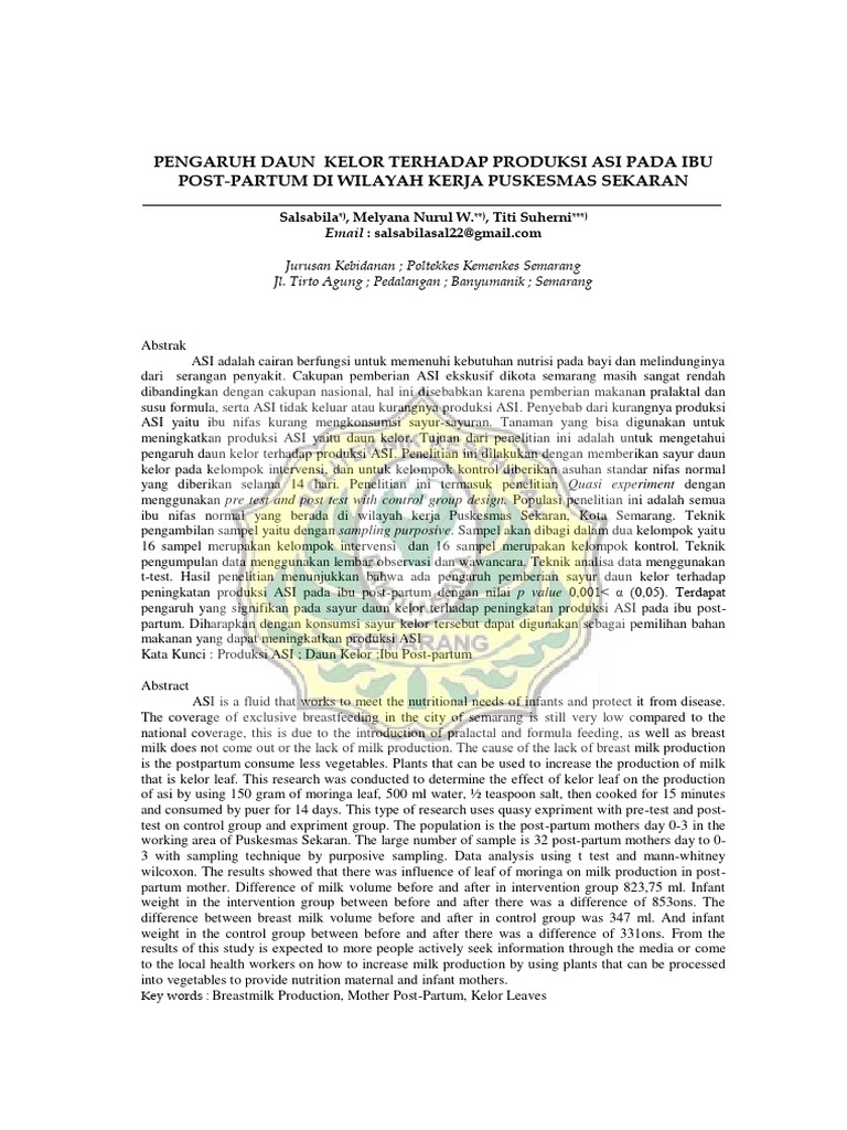 Naskah Publikasi - Salsabila PDF | PDF