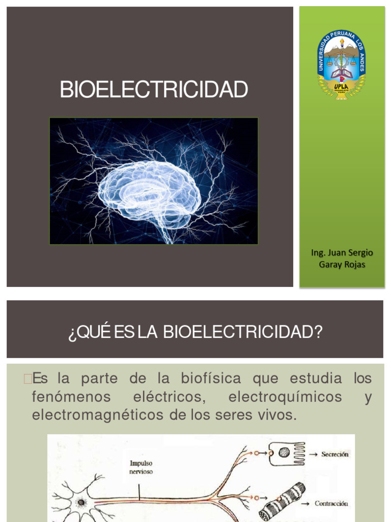 Introducción a la Bioelectricidad | PDF | Electricidad ...