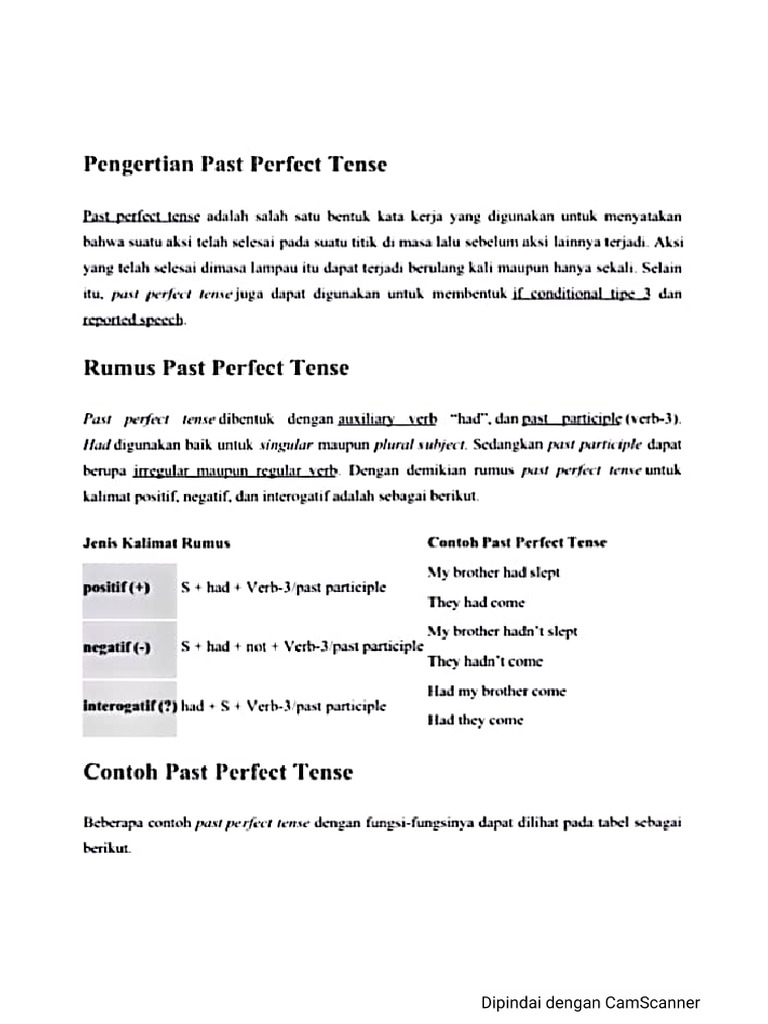 Past Perfect Tense | PDF