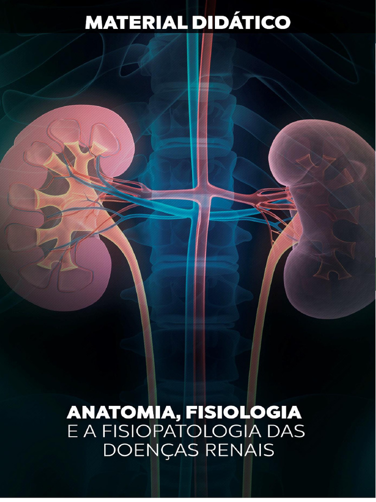Anatomia Fisiologia e A Fisiopatologia Nas Doenças Renais 1 | PDF