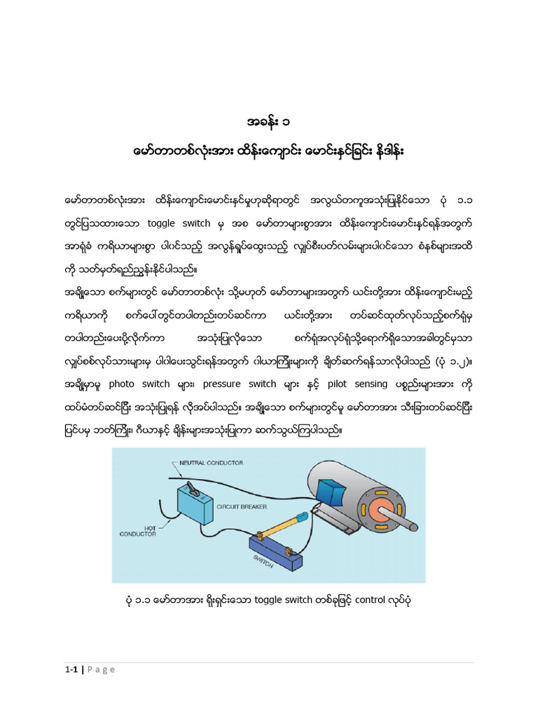 Chapter 01 - General Principles of Motor Controls MM | PDF
