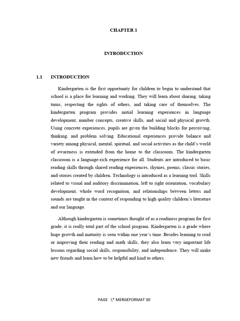 My Report Pdf Preschool Experience