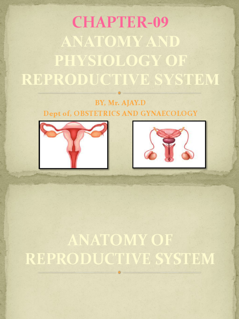Anatomy and Physiology of Female Reproductive System | PDF