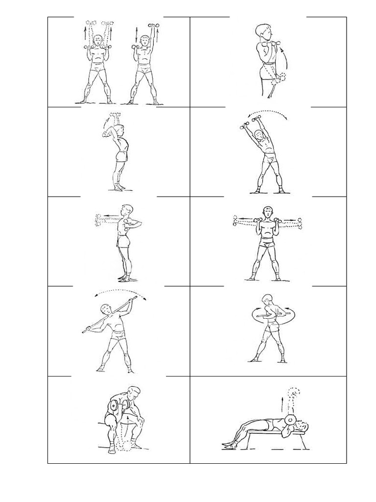 Exercitii Fizice | PDF