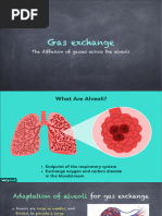 Adaptation of Alveoli | PDF | Lung | Capillary