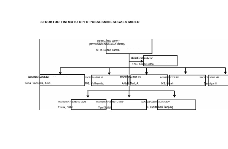 B. Struktur Tim Mutu | PDF